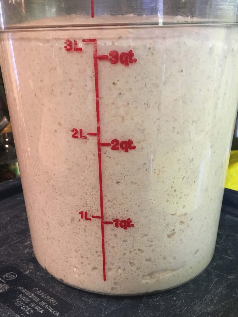 Country Wheat and Rye Boule | Priscilla Martel