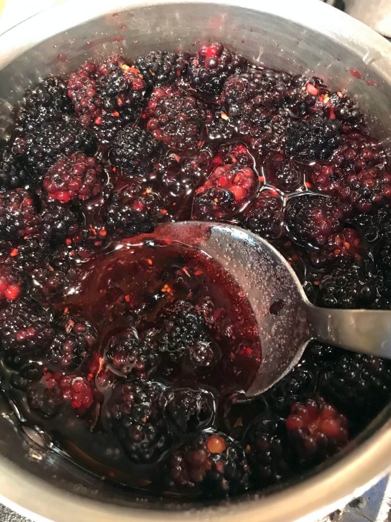 Wild Blackberry Preserves | Priscilla Martel