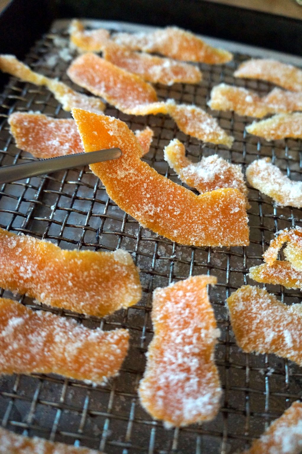 Candied Citrus Zest | Priscilla Martel