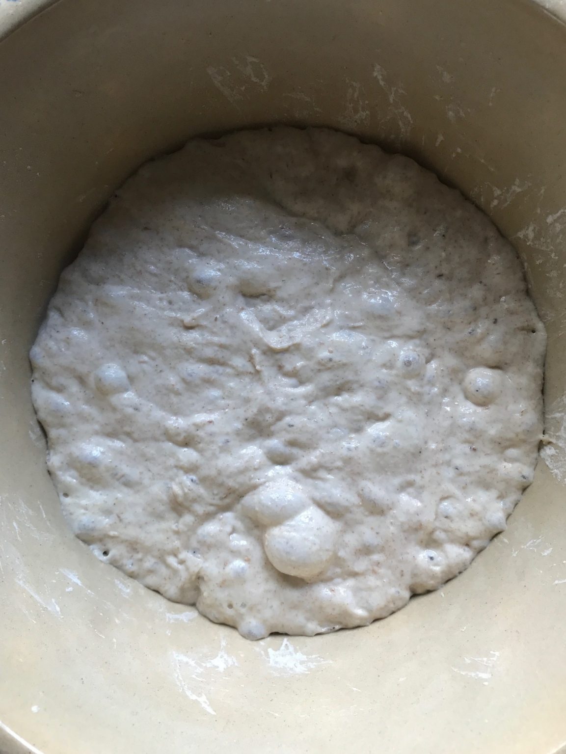 Experimental No Knead Bread | Priscilla Martel